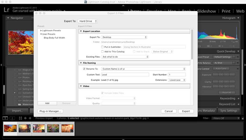 Comment ajouter un filigrane dans Adobe Lightroom - ThemeLocal - Des ...