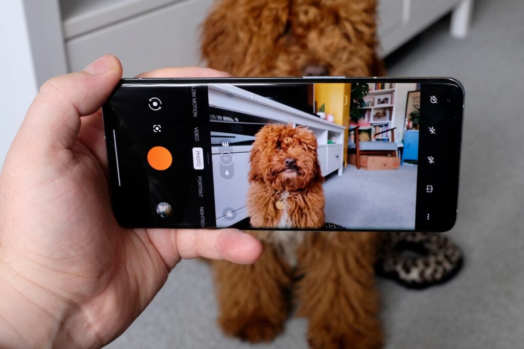 Pixel 6 Pro vs OnePlus 9 Pro : quelle différence ? - ThemeLocal - Des ...