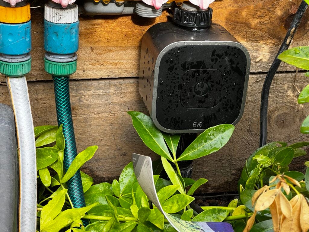 Ève Aqua Review - ThemeLocal - Des conseils de blog qui fonctionnent comme par magie